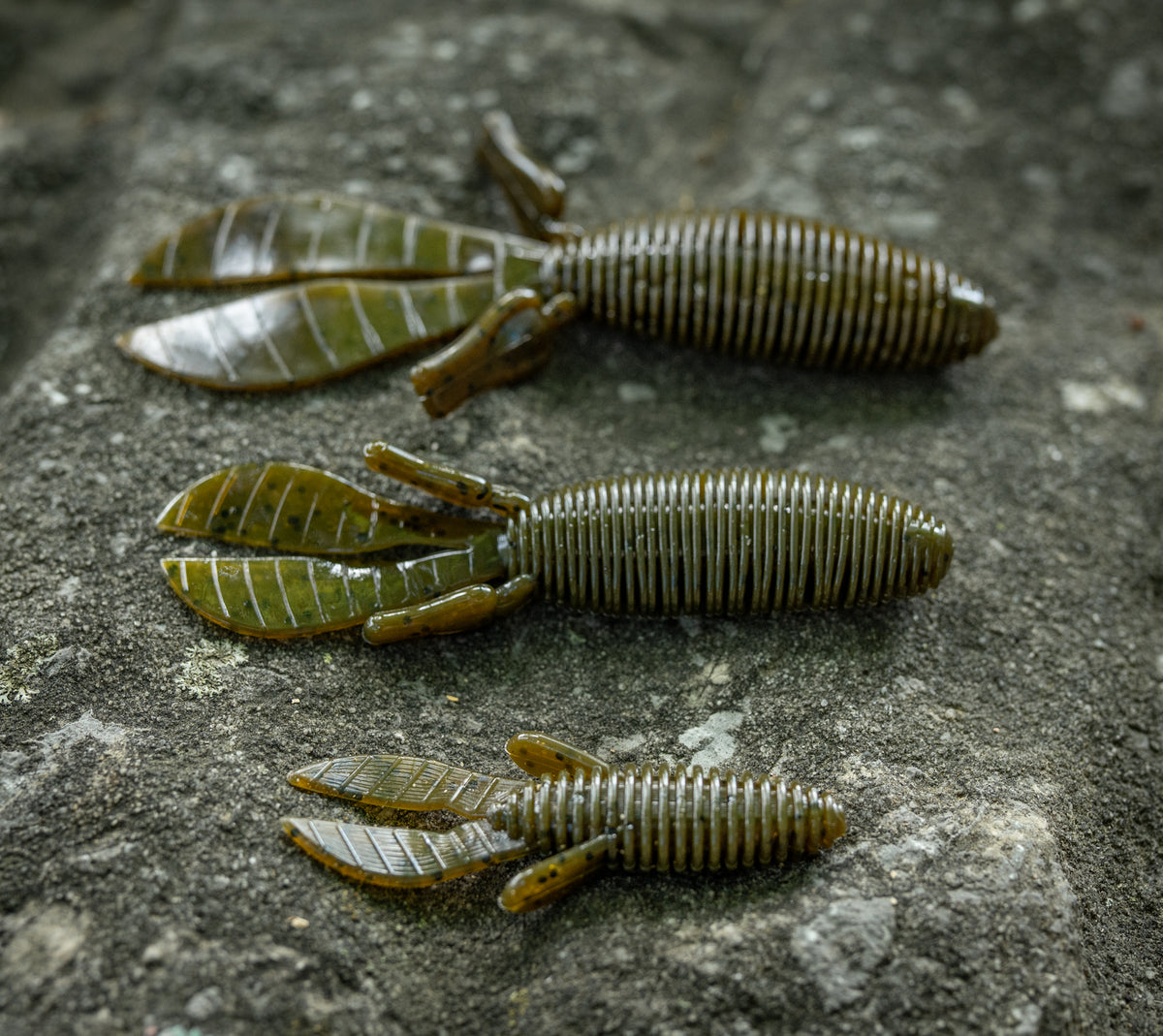 Missile Makes Micro D Bomb and adds Spunk Shad 3.0 – Missile Baits